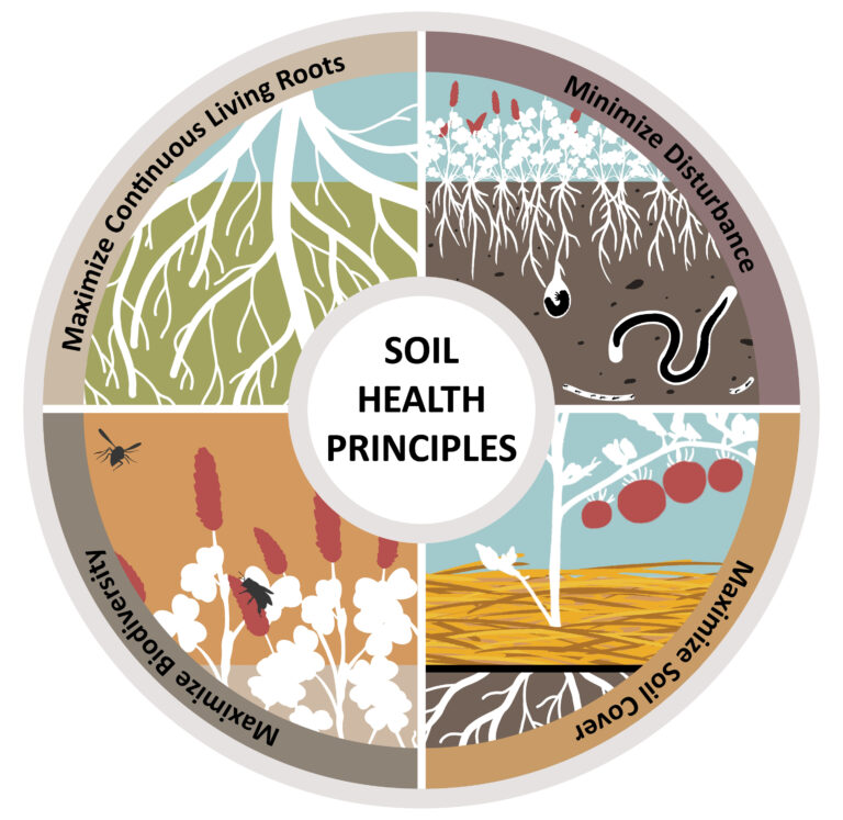 Soil Health - Indiana Small Farms Conservation