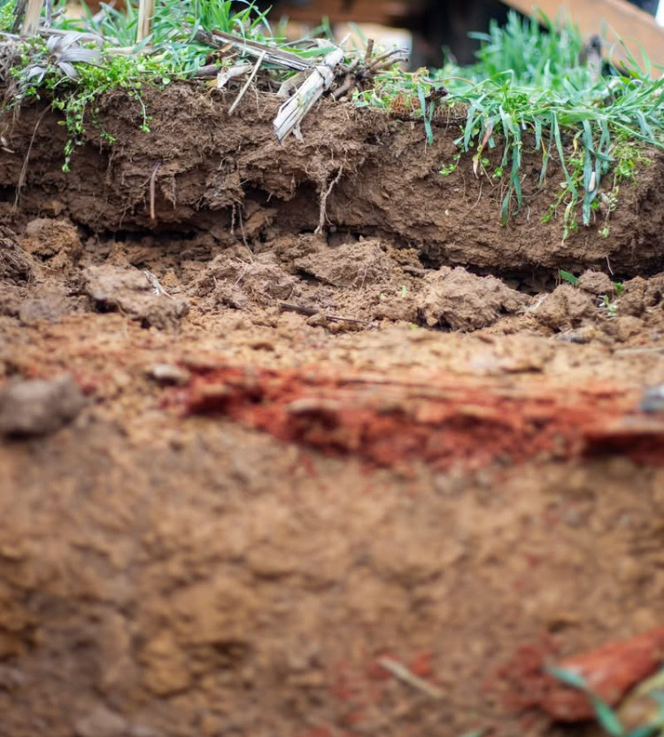 Dirty Truth of Soil: Not Just for Playing In (But Also That) - Indiana ...